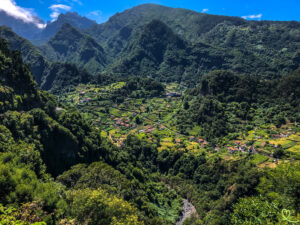 Tutto il necessario per il vostro viaggio a Madeira