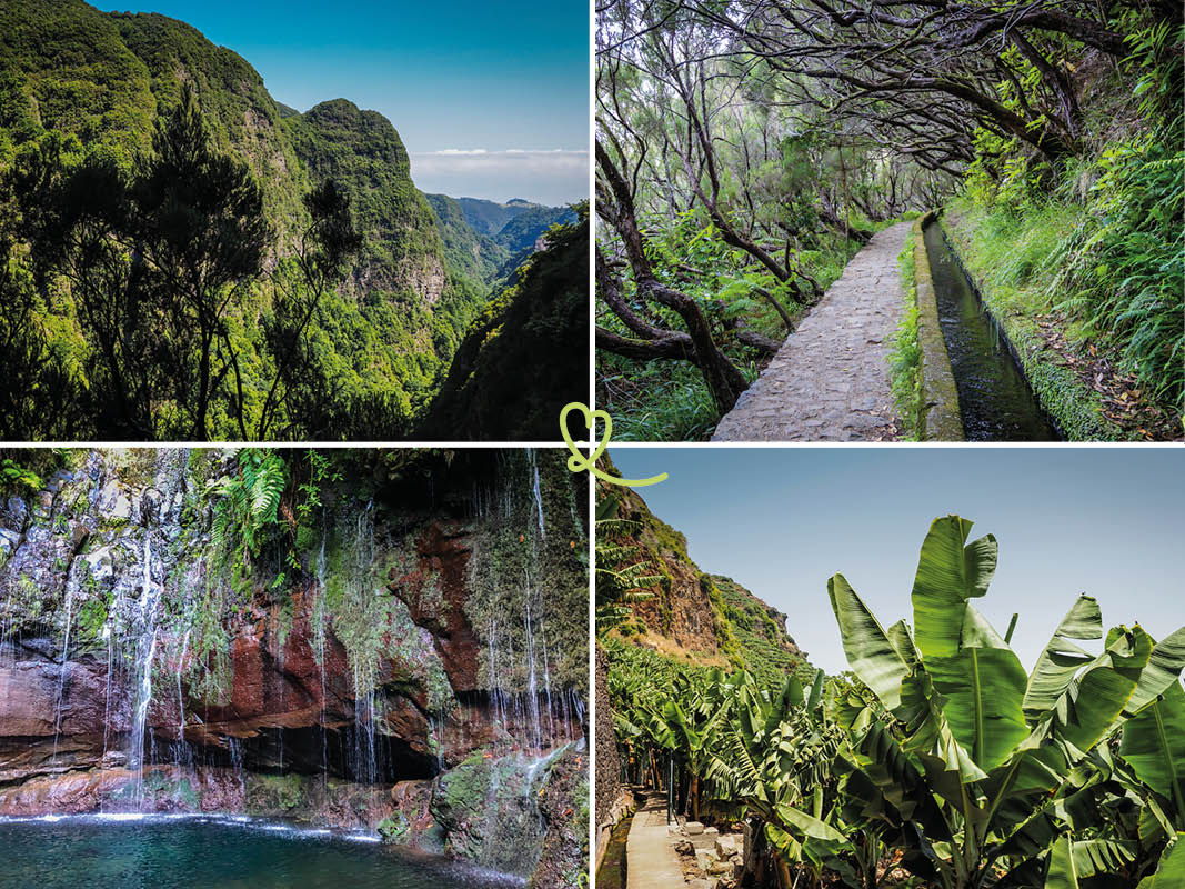 6 best Levadas in Madeira (tips + photos)
